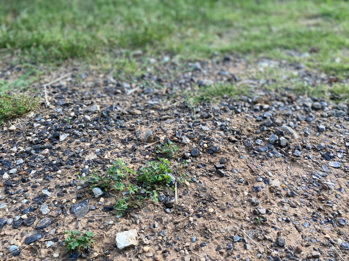 Let’s talk about slag – Cahaba Homestead Heritage Foundation, Inc.